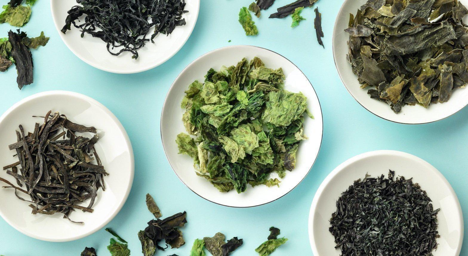 A Comprehensive Guide To Japanese Seaweed – Japanese Taste