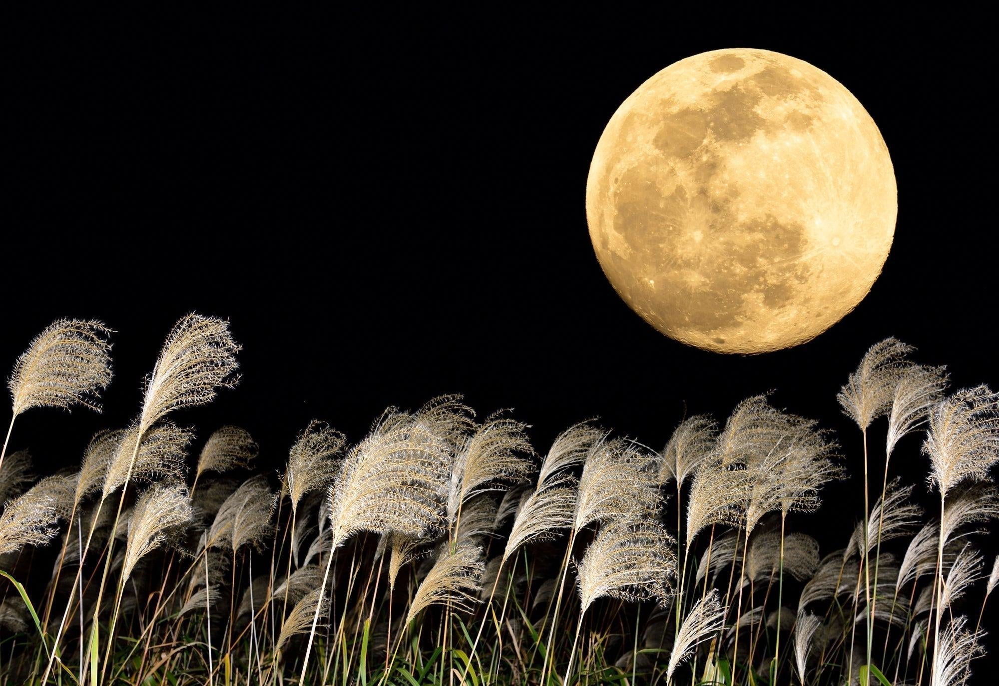 Tsukimi: Japan’s Mid-Autumn Festival Promises The Moon – Japanese Taste