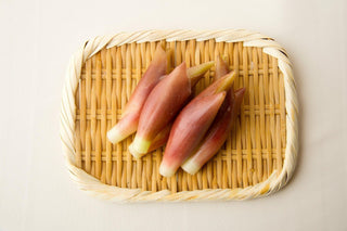 What Is Japanese Ginger? – A Brief Guide to Myoga