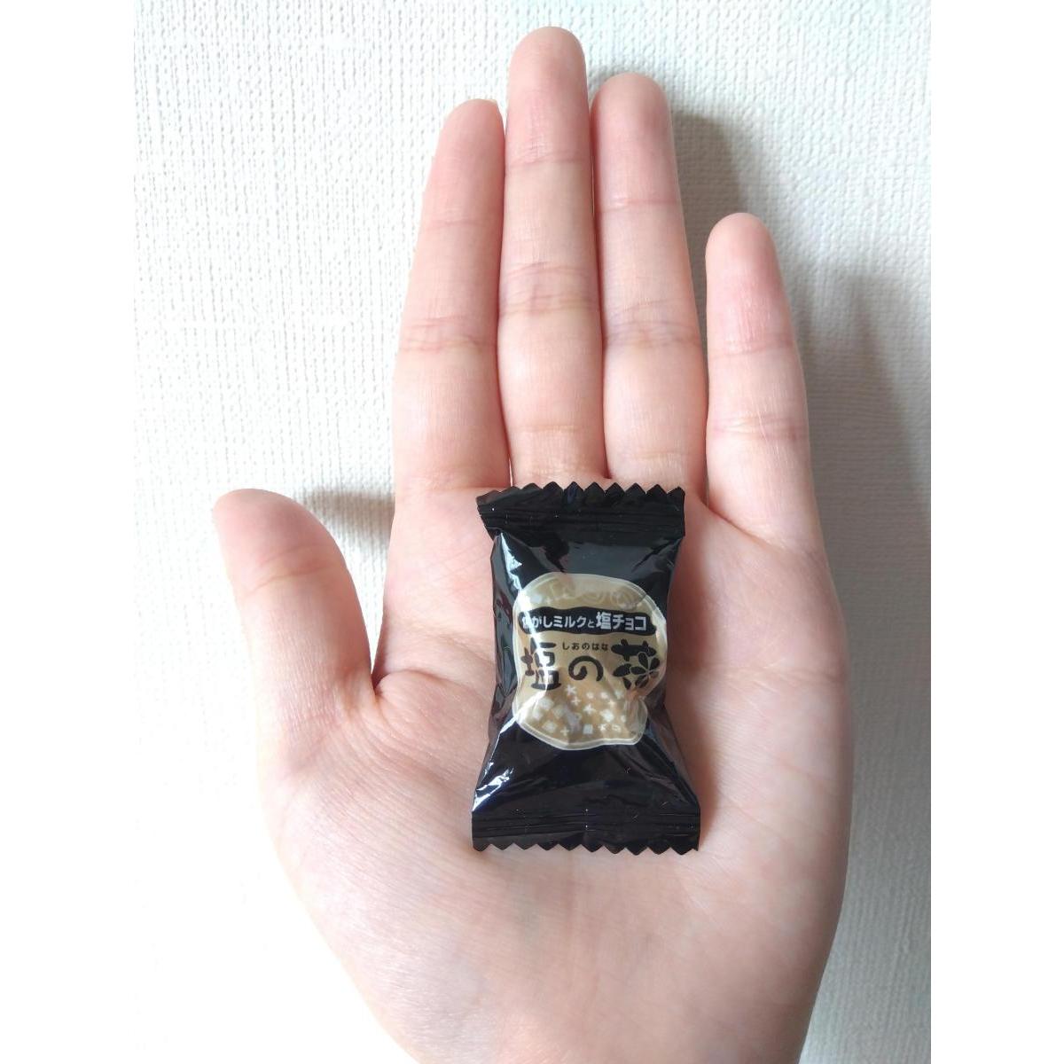 UHA Mikakuto Shio no Hana Chocolate Filled Salt Caramel Candy 78g ...